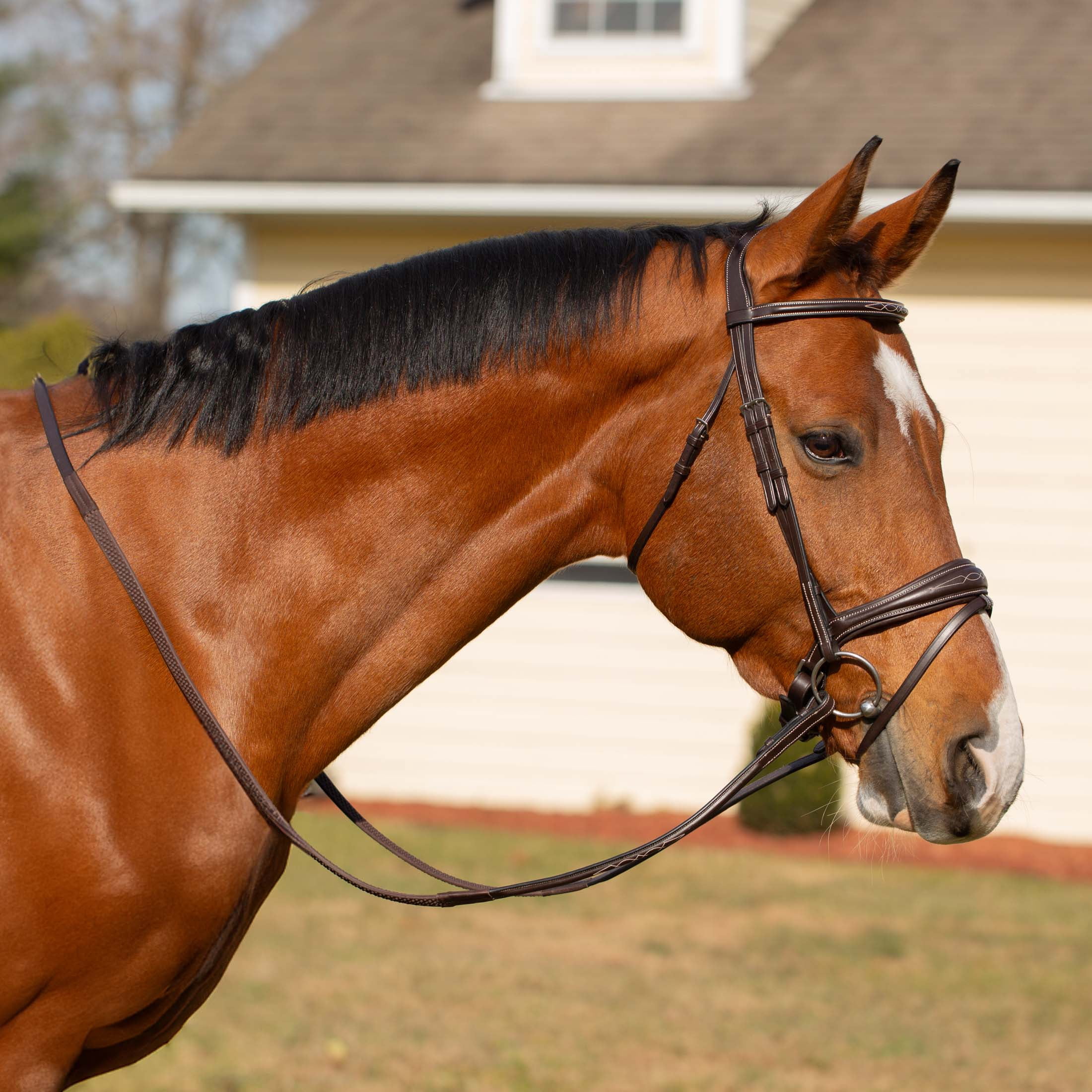 Equinavia Valkyrie Anatomic Jumper Bridle with Rubber Reins - Walmart.com