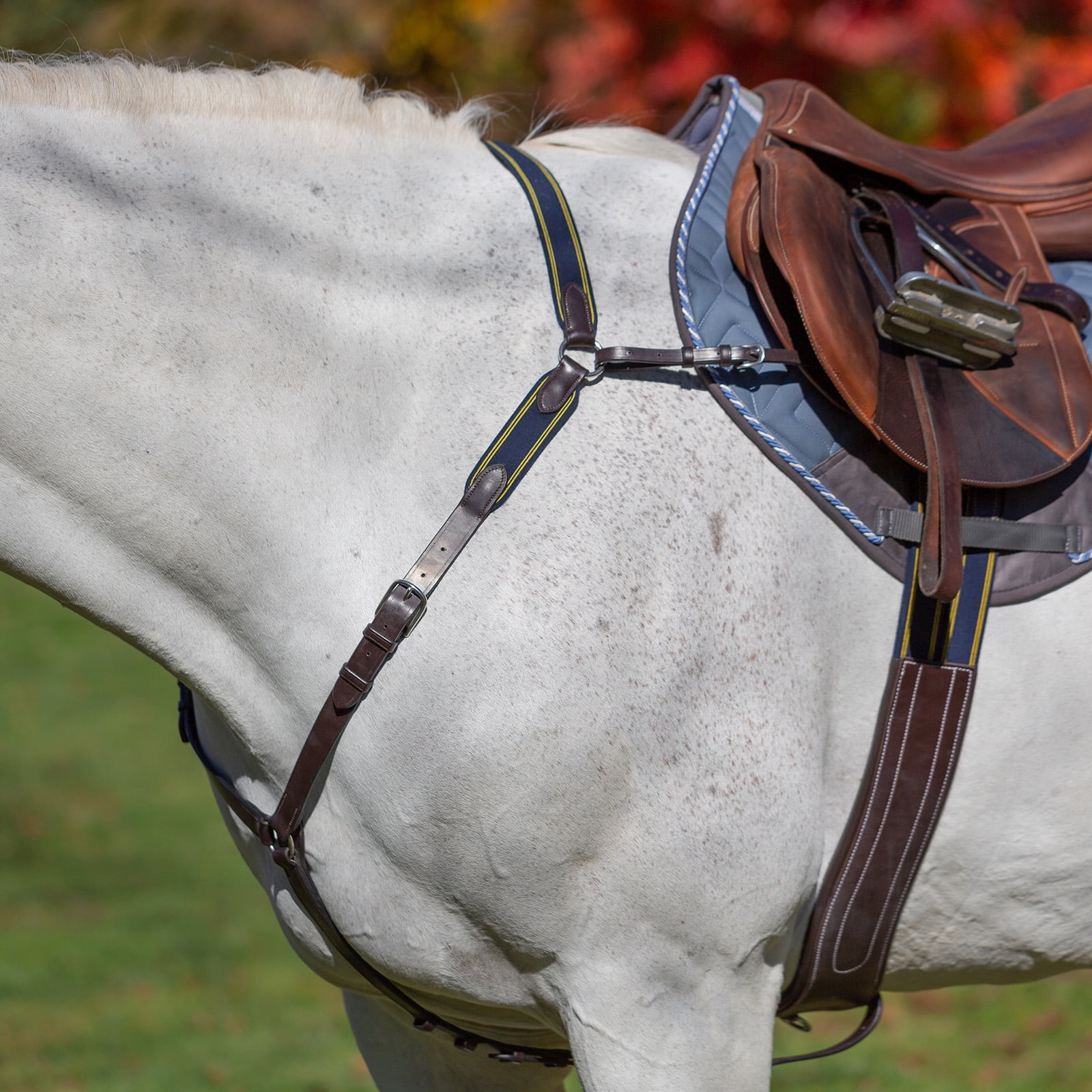 Equinavia Valkyrie Elastic Breastplate - Walmart.com