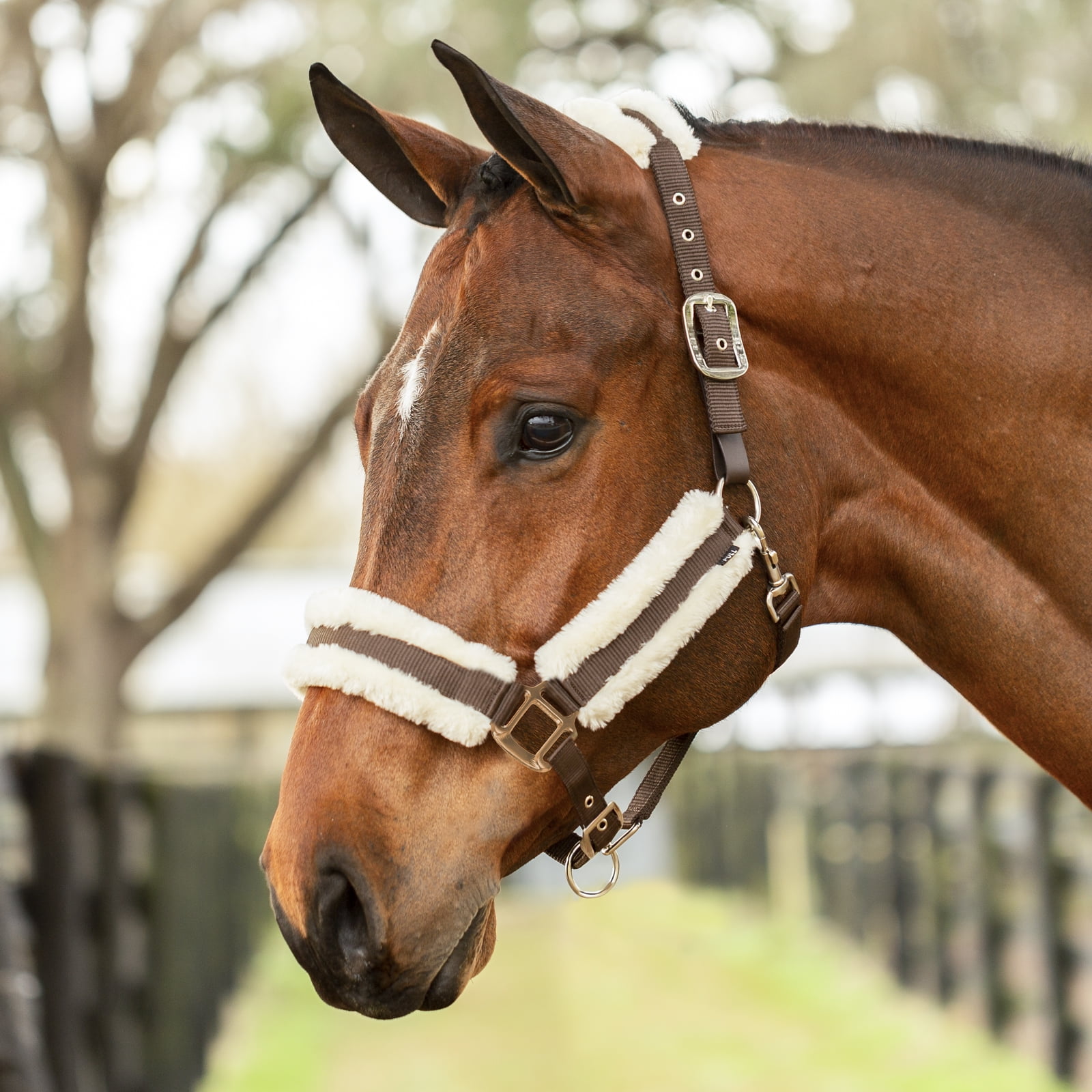 Equinavia Valkyrie Soft Ultra Fleece Padded Adjustable Breakaway Horse ...