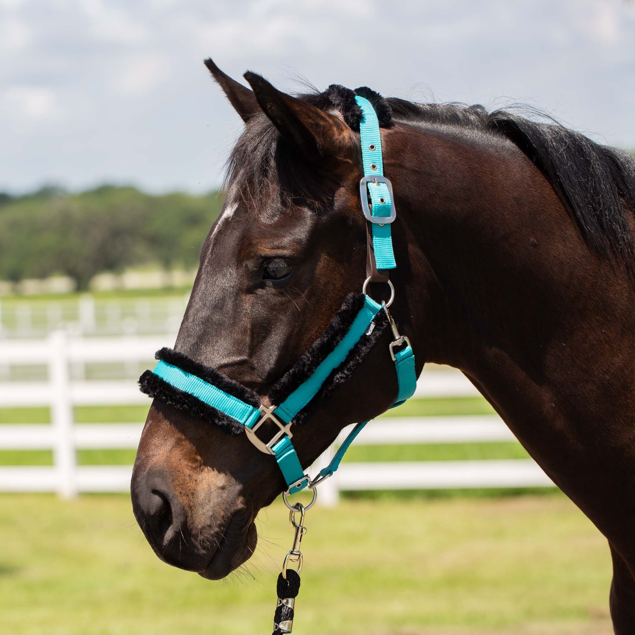 Equinavia Valkyrie Ultra Fleece Breakaway Halter - Walmart.com