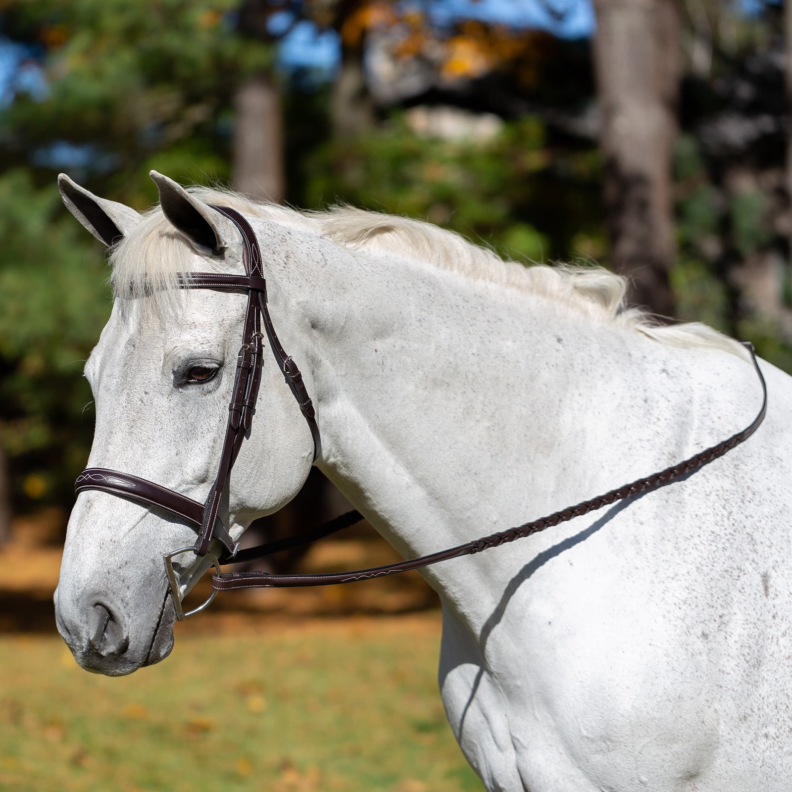 Equinavia Valkyrie Wide Noseband Hunter Bridle with Reins - Walmart.com