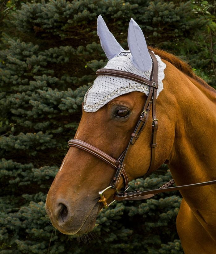 Equine Couture Fly Bonnet with Pearls and Crystals - White - Cob ...