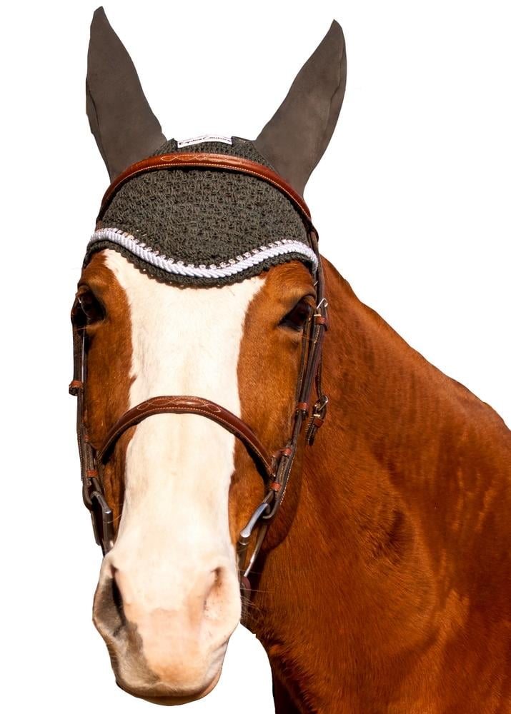 Equine Couture Fly Bonnet with Silver Rope & Crystals - Walmart.com