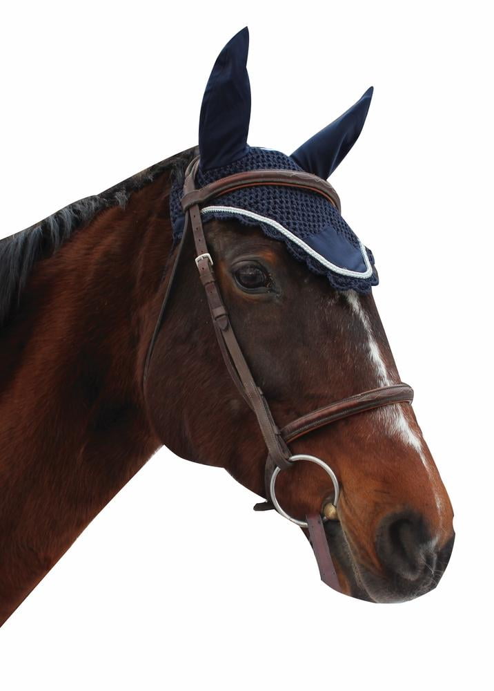 Equine Couture Fly Bonnet with Silver Rope - Walmart.com