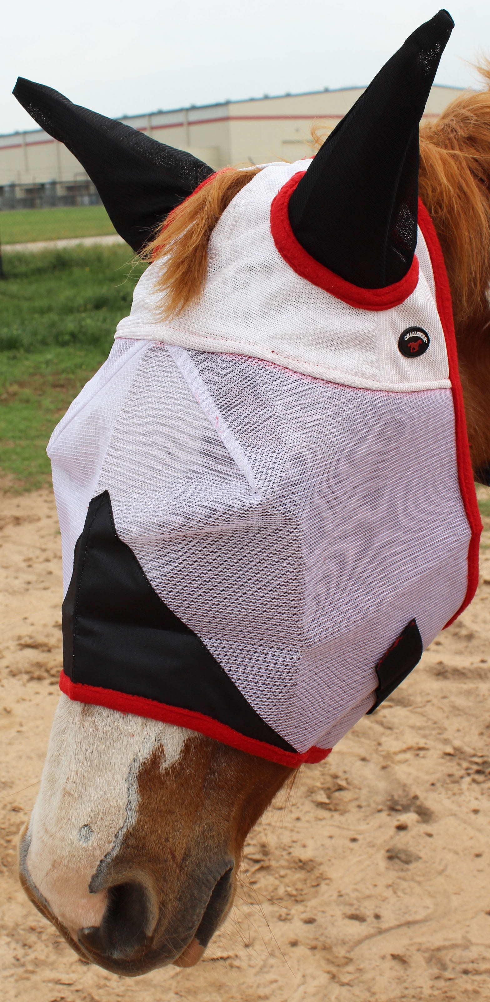 Equine Horse FlyMask Summer Spring Airflow Mesh 73221 - Walmart.com