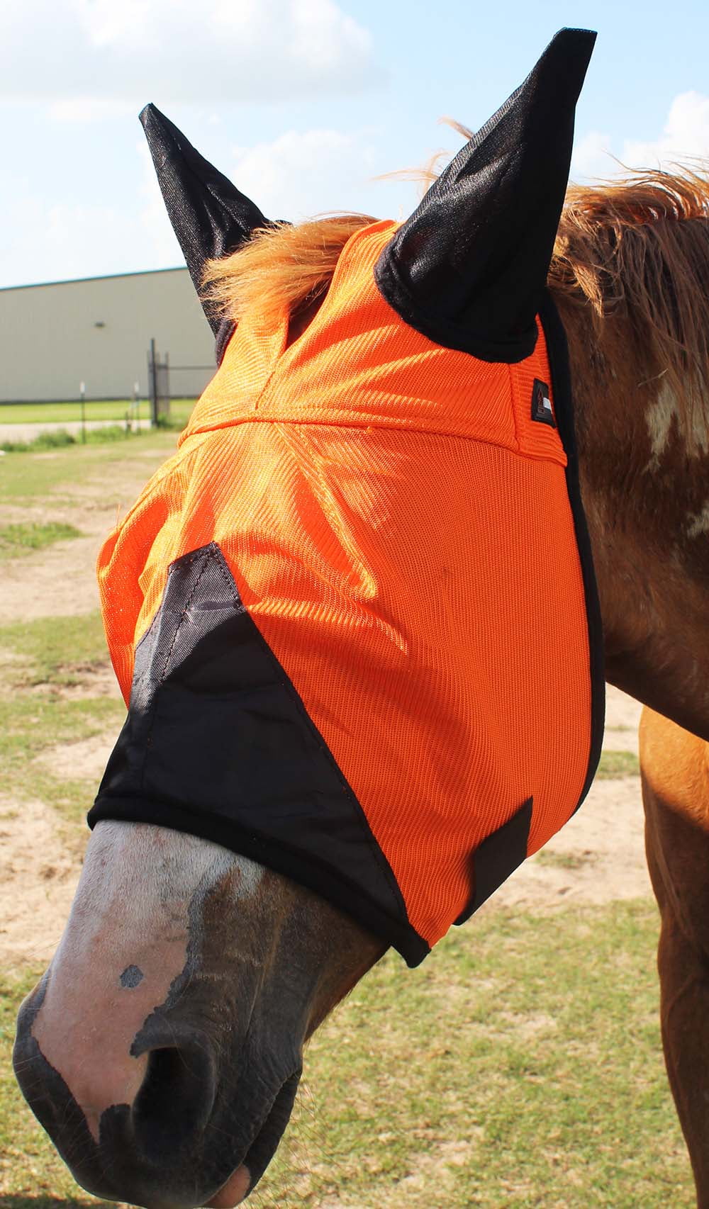 Equine Horse Flymask Summer Spring Airflow Mesh 73205 - Walmart.com