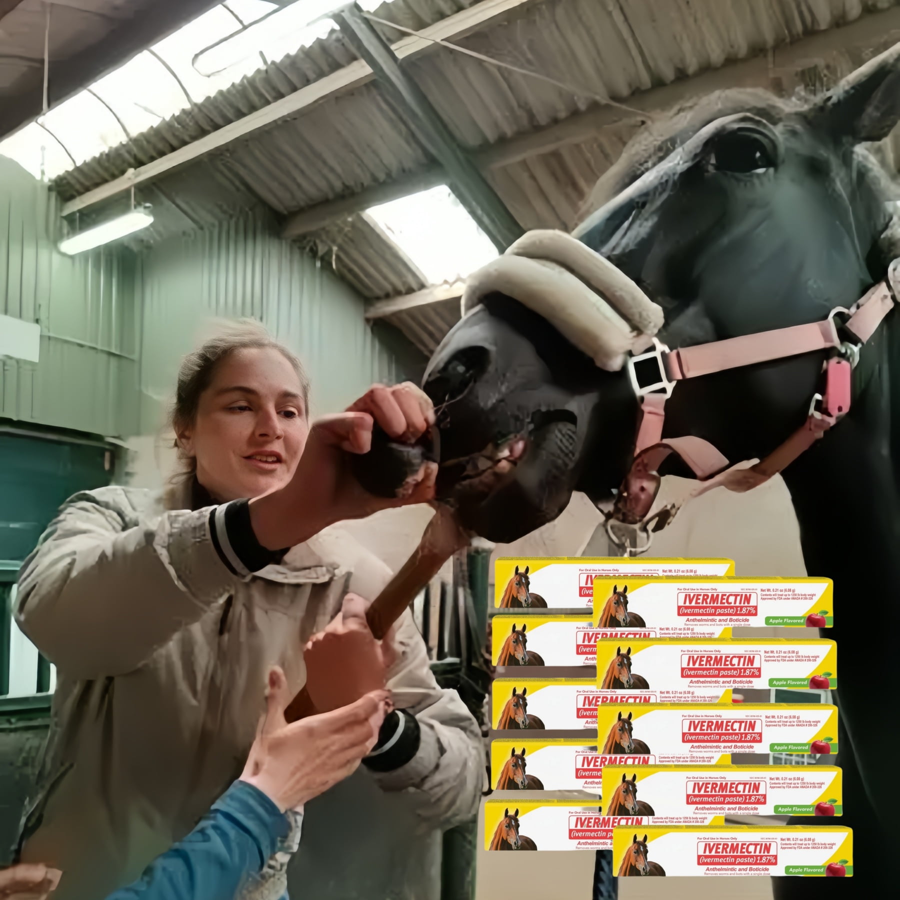 Equine Ive-rm-ectin Horse Wormer, Apple Flavored Horse Wormer Paste Horse Dewormer （10pc ...