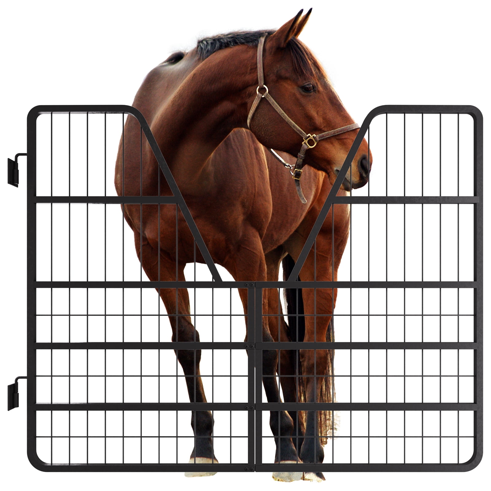 Equine Stall Guard, 52"x42" Dimensions, Yoke Design Security Frame ...
