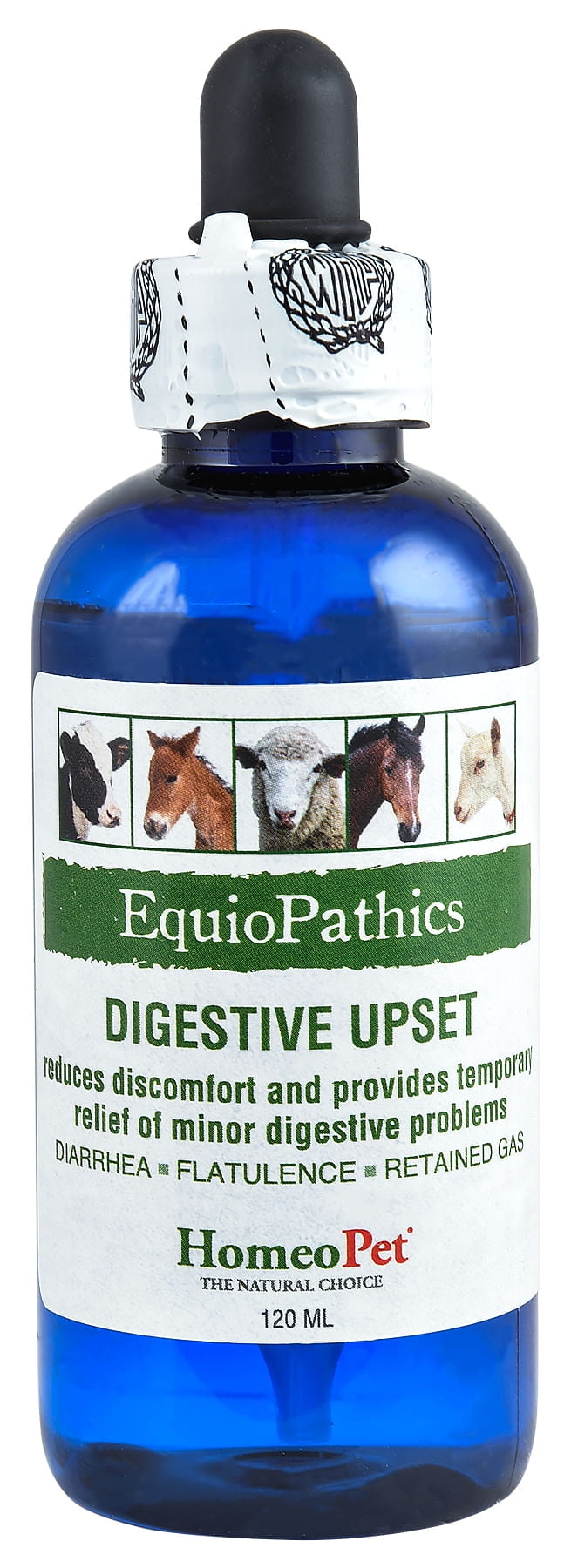Equio Digestive Upsets - formerly Gastroenteric/Colic, 120mL - Walmart.com
