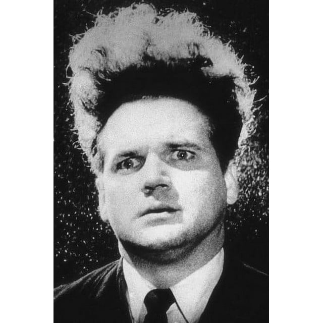 Eraserhead David Lynch 24x36 Poster - Walmart.com