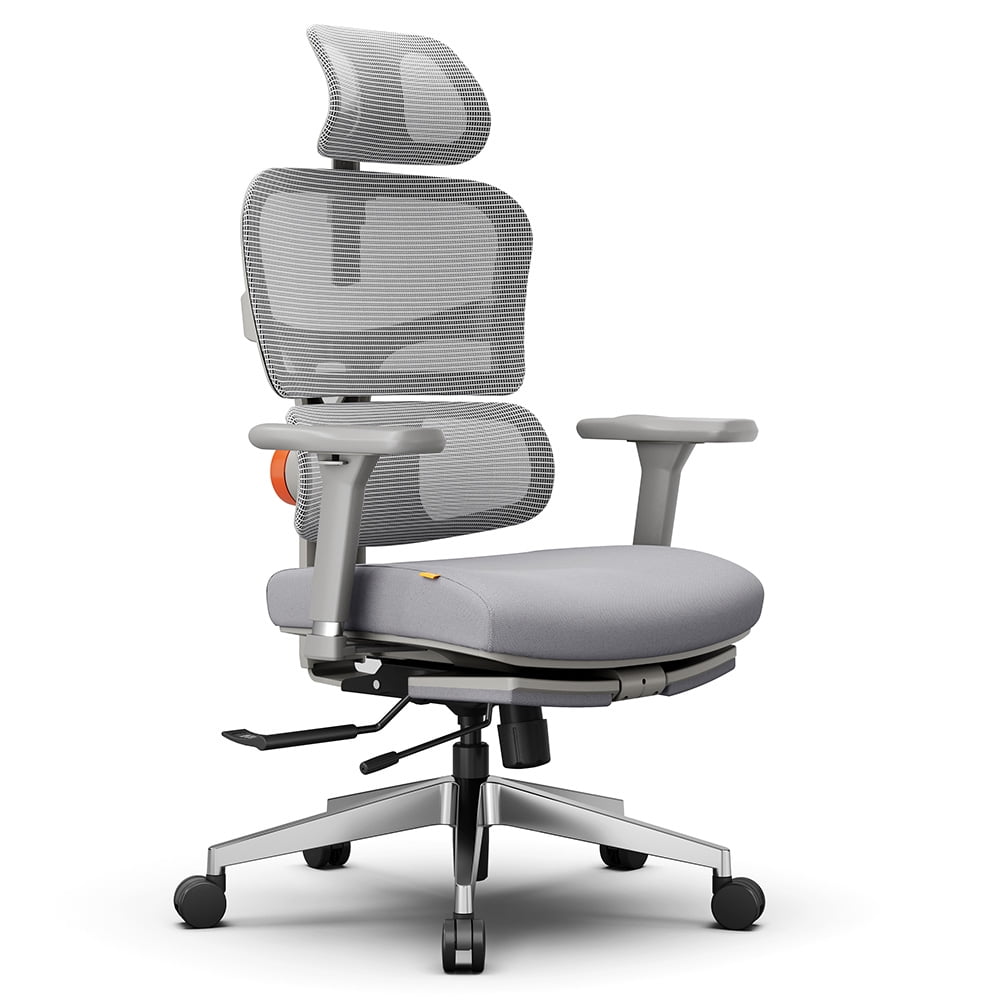 Ergonomic Chair – Adaptive Lower Back Support, 4D Adjustable Armrest ...