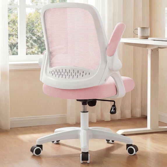 Ergonomic Computer Chair with Lumbar Support, Adjustable Height, Swivel ...