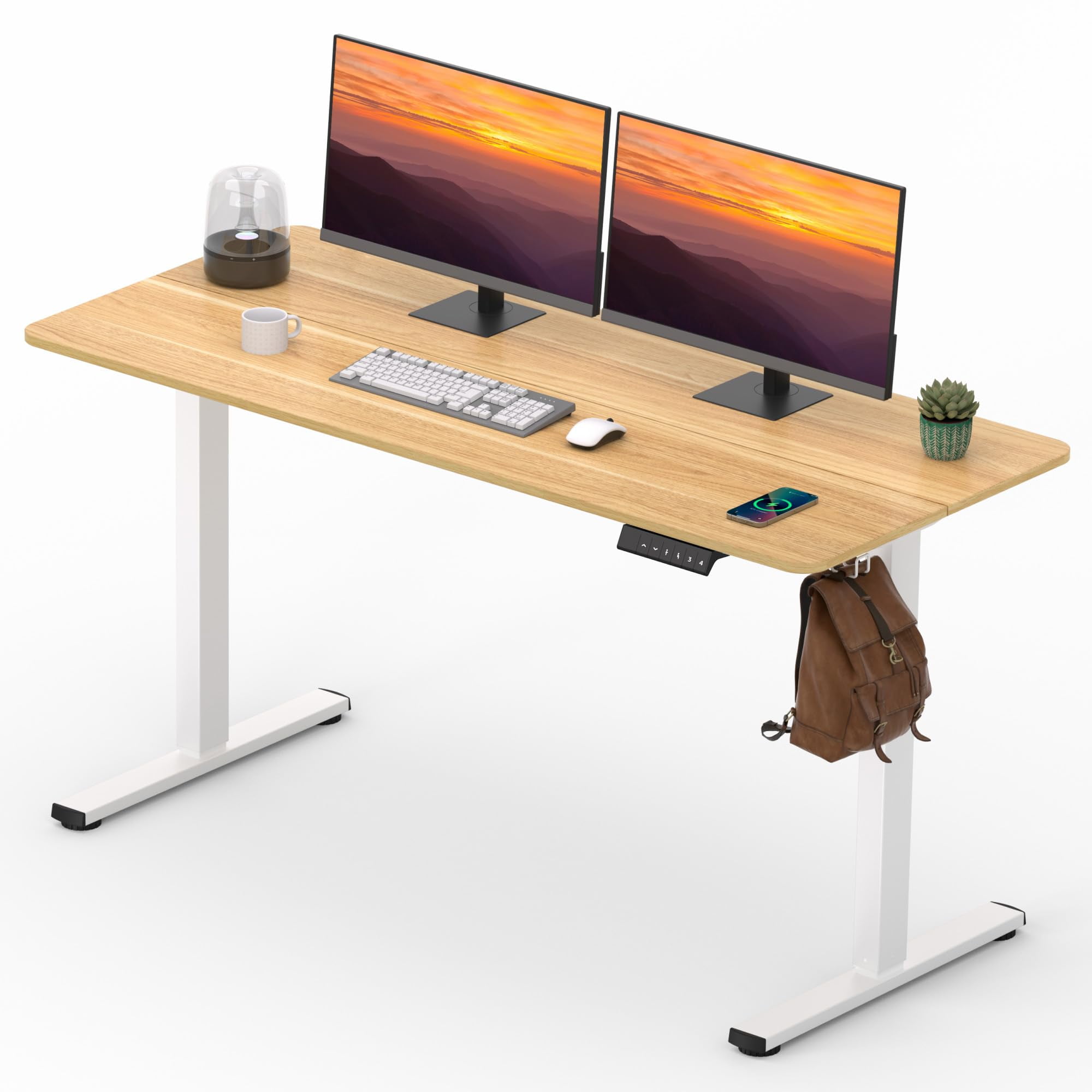 Ergonomic Electric Standing Desk 55x24 Inch, Memory Preset Adjustable ...