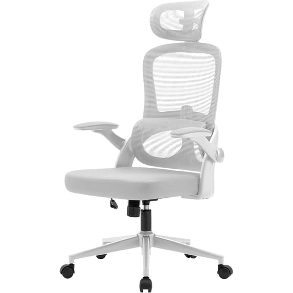 Ergonomic High Back Office Chair with Adjustable Lumbar Support, Swivel ...
