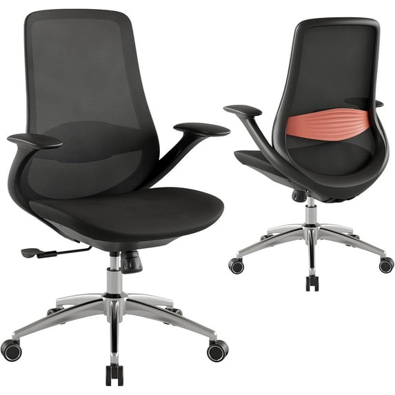 Ergonomic Home Office Desk Chair with Adjustable Arms Executive Office ...