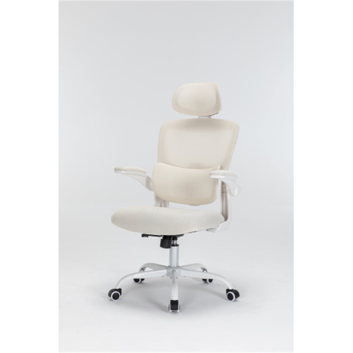 Ergonomic Mesh Office Chair with 3D Adjustable Lumbar Support, High ...