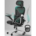 Ergonomic Mesh Office Chair, Adjustable Lumbar High Back Desk Chair ...