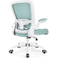 Ergonomic Mesh Office Chair with Adjustable Lumbar Support, High Back ...