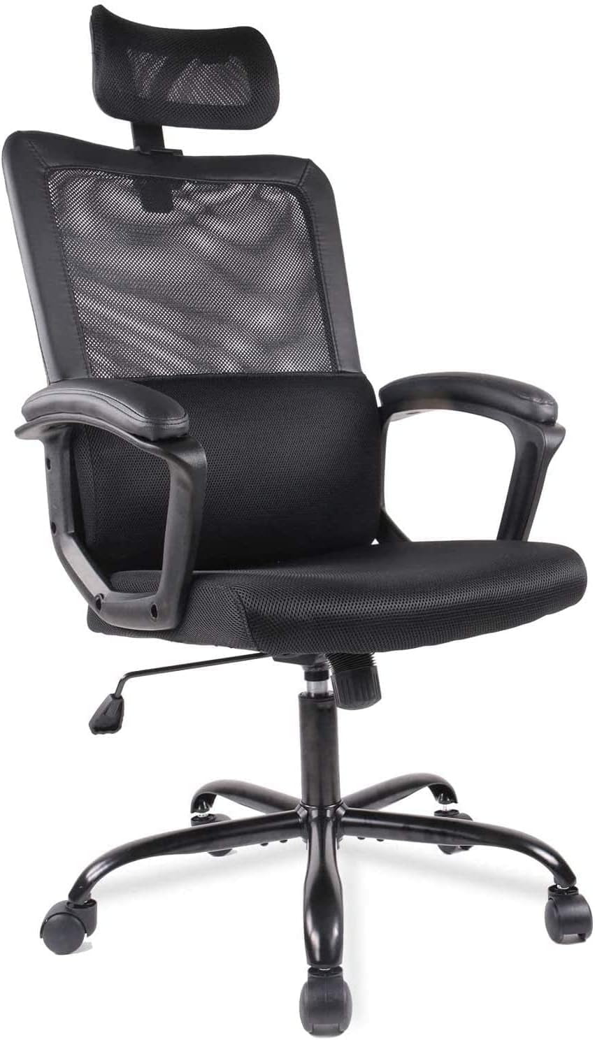 Ergonomic Mesh Office Chair with Lumbar Support, Adjustable Headrest ...