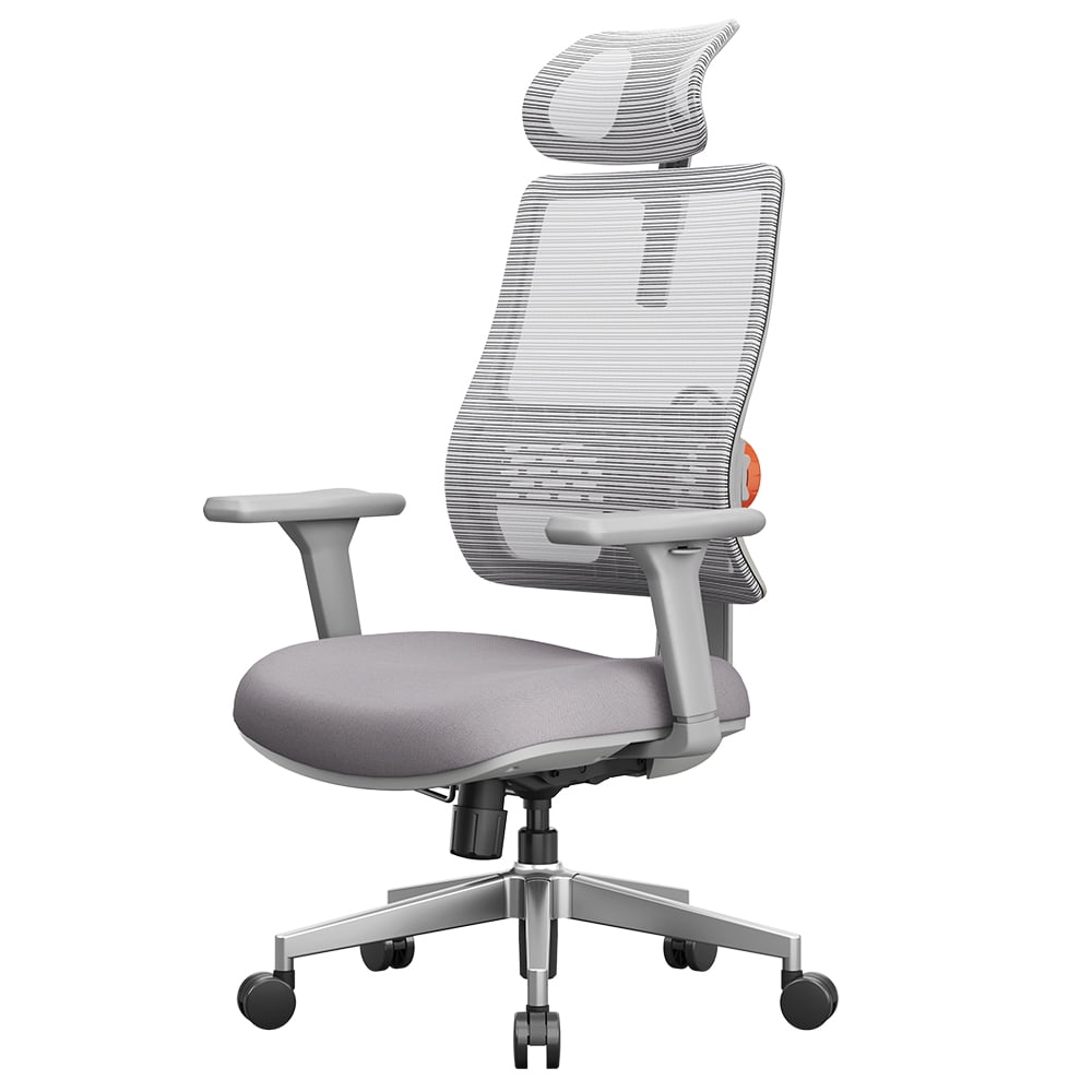 Ergonomic Office Chair – Adaptive Lumbar Support, Multifunctional ...
