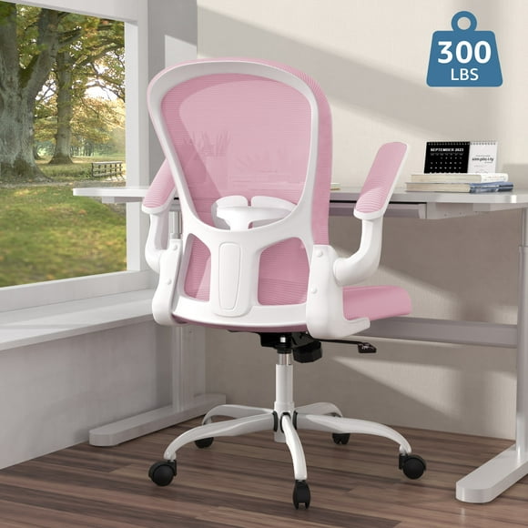 Ergonomic Office Chair, Comfort Home Office Task Chair, Lumbar Support ...