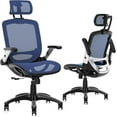 Ergonomic Office Chair, High Back Home Desk Chair with Headrest, Flip ...