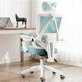Ergonomic Office Chair High Back Mesh Desk Chair with Lumbar Support ...