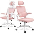 Ergonomic Office Chair Mesh Desk Chair Lumbar and Back Support Computer ...