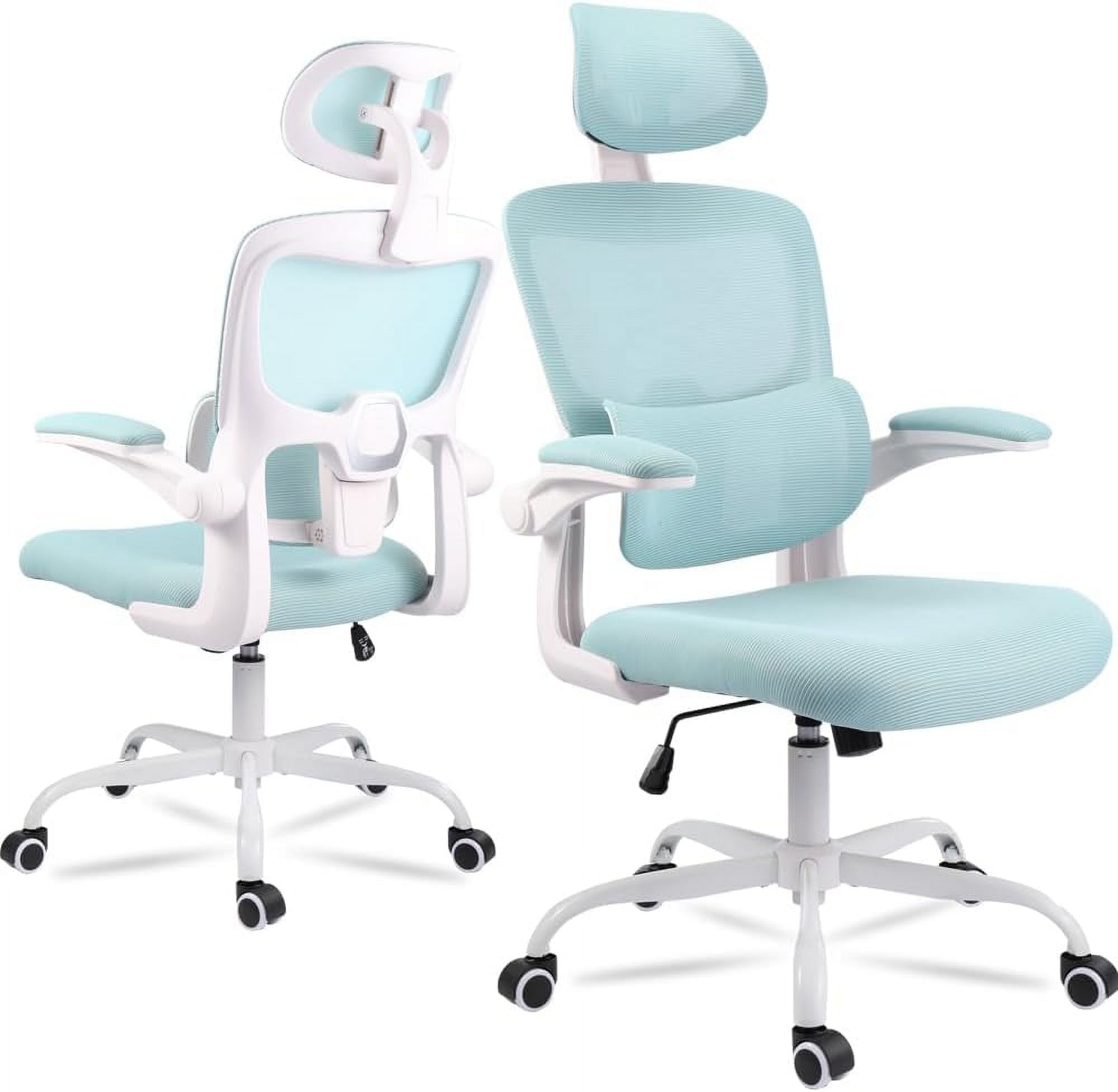 Ergonomic Office Chair Mesh Desk Chair Lumbar and Back Support Computer ...