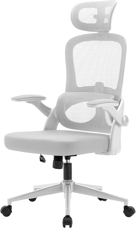 Ergonomic Office Chair, Office Chair with Up&Down Lumbar, High Back ...
