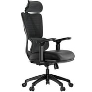 FlexiSpot Ergonomic Mesh Office Chair, Adjustable Height, Lumbar ...