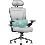 Ergonomic Office Chair, Adjustable Lumbar, Armrests, High Back Swivel ...