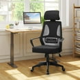 Ergonomic Office Chair, Adjustable Lumbar, High Back Mesh, Desk Tilt ...