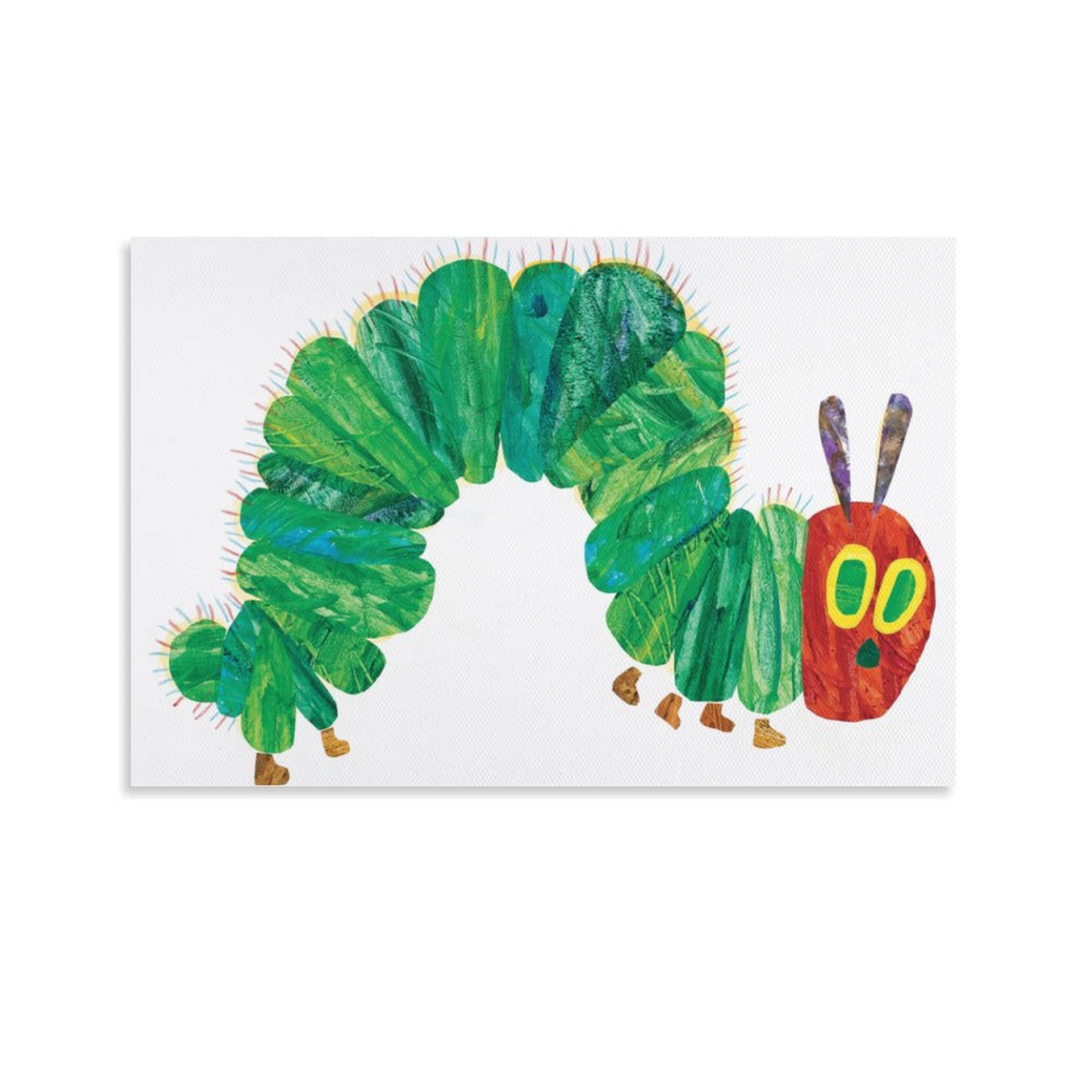 Eric Carle Illustration Print Children's Education Posters (11) Wall ...