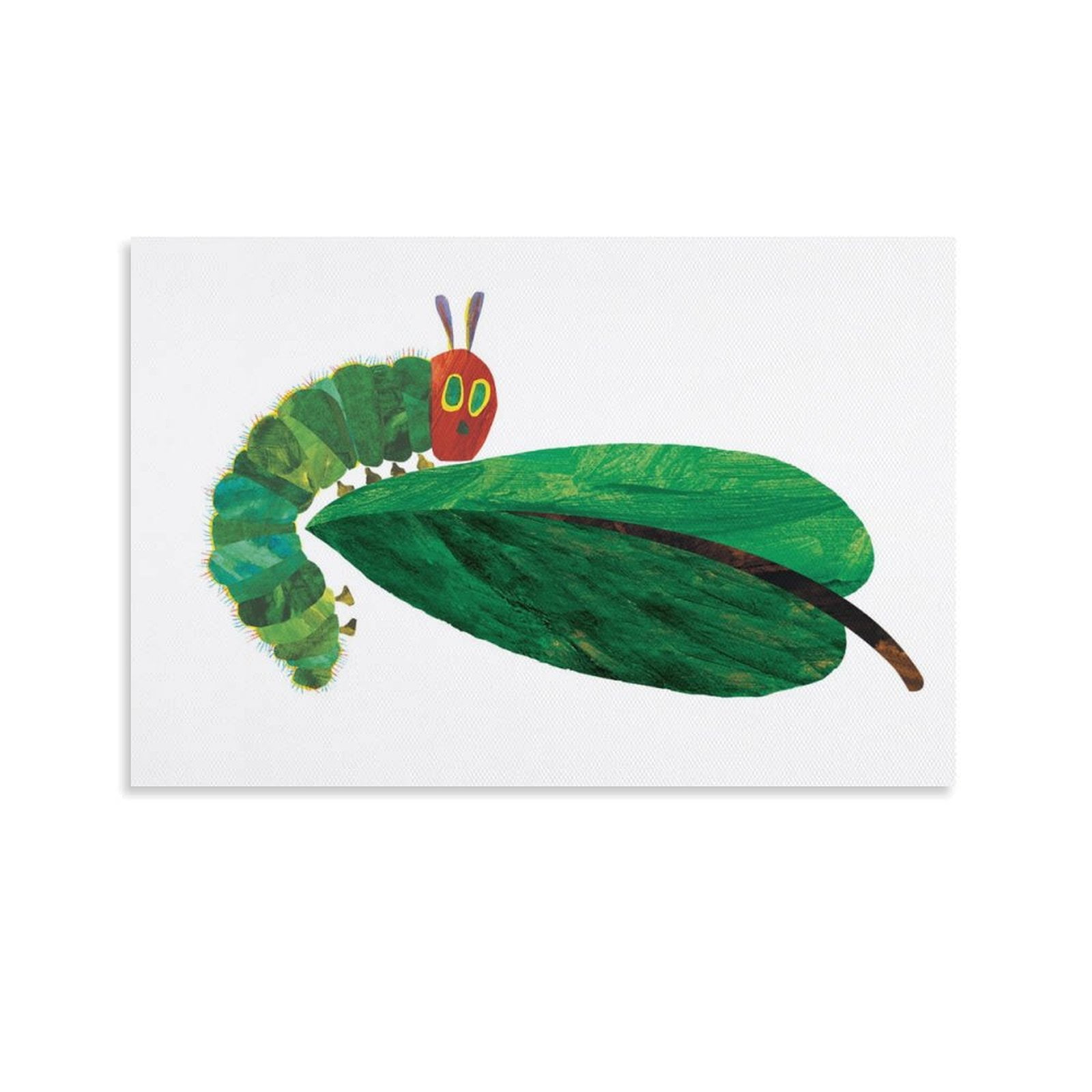 Eric Carle Illustration Print Children's Education Posters (51) Picture ...
