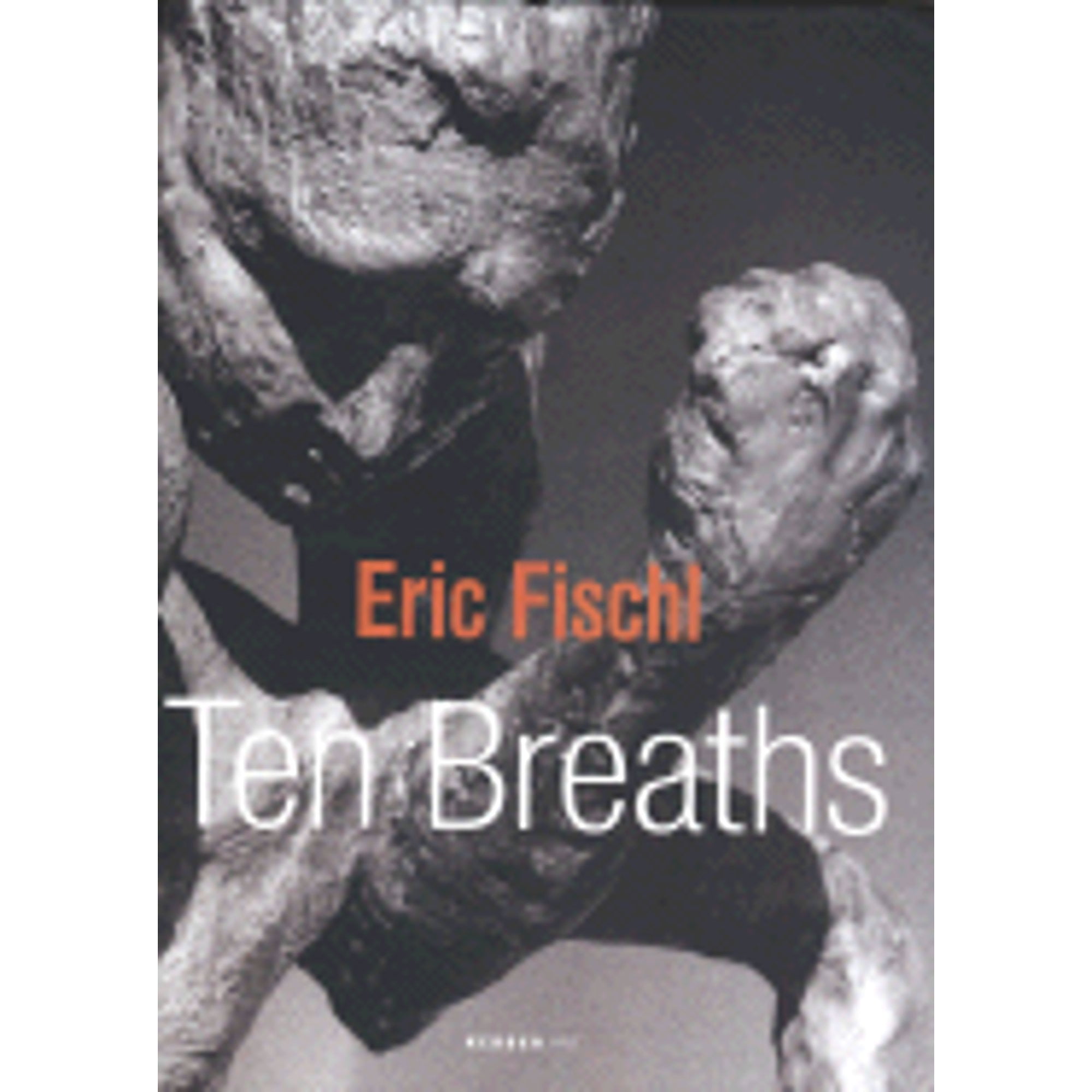 Pre-Owned Eric Fischl: Ten Breaths (Hardcover 9783866781160) by Eric ...