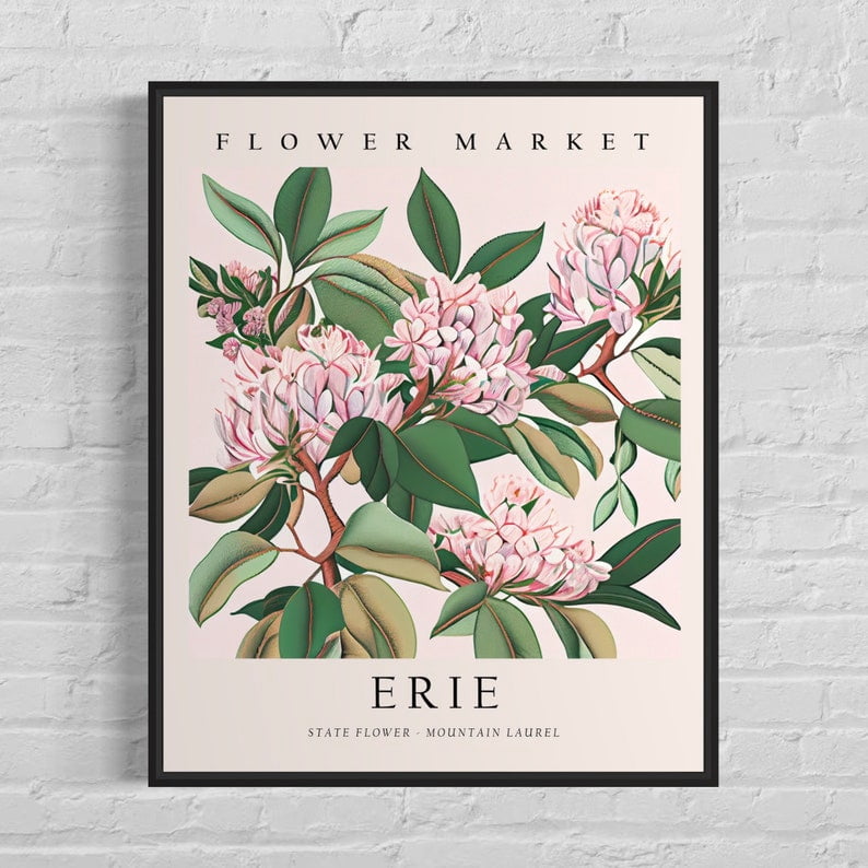 Erie PA Wild Flower Market Print, Mountain Laurel Art - Walmart.com