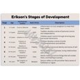 Erik Erikson Psychosocial Development 8 Stages Theory Posters (4 ...