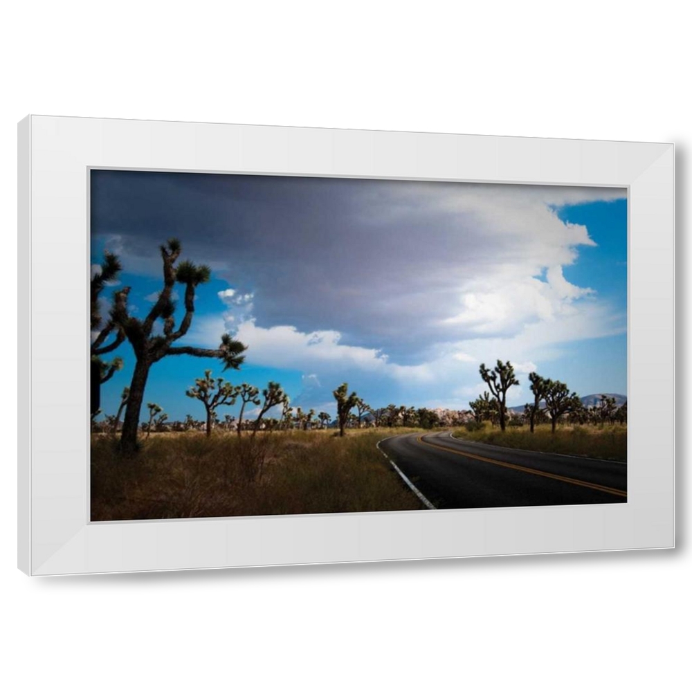 Erin Berzel 18x13 White Modern Wood Framed Wall Art Titled - Joshua ...