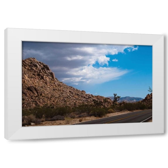 Erin Berzel 4x24 White Modern Wood Framed Wall Art Titled - Joshua Tree ...
