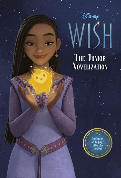 Erin Falligant: Disney Wish: the Junior Novelization (Paperback ...