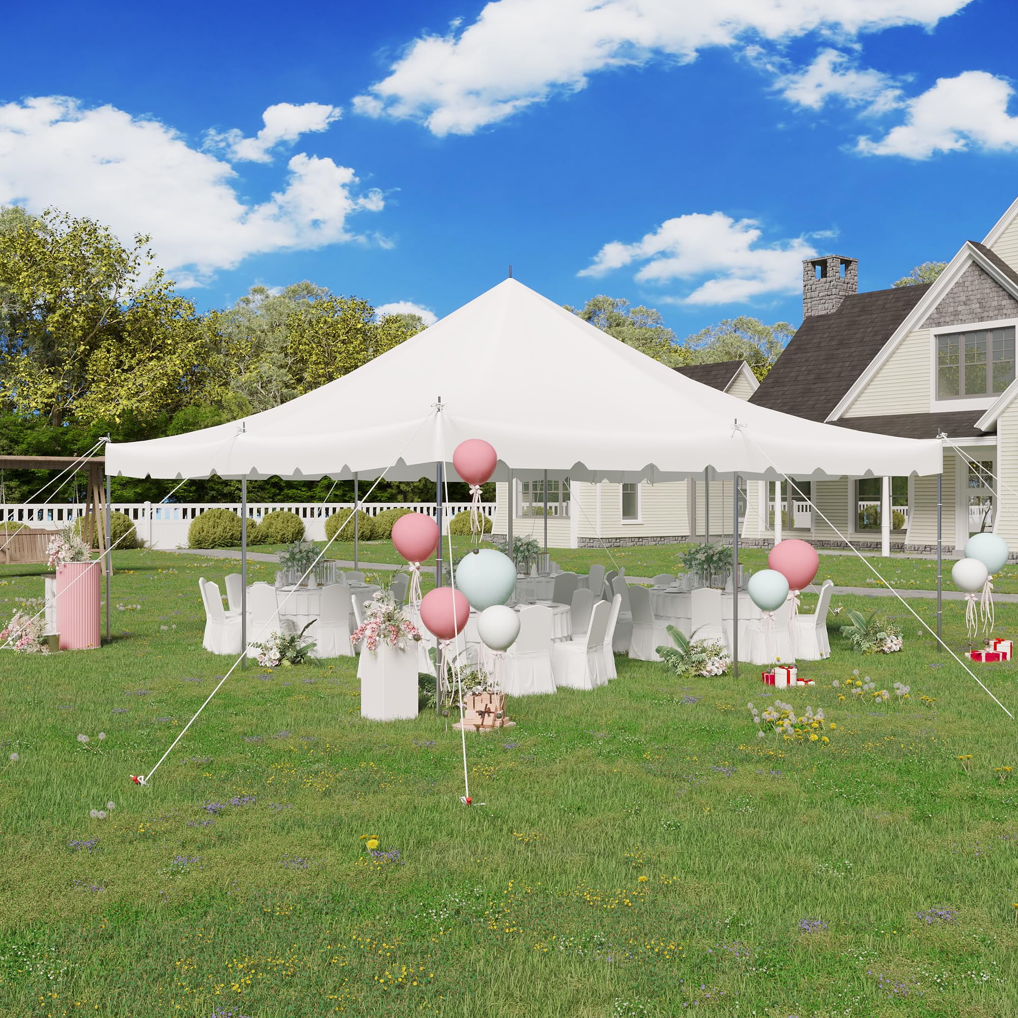 Erinnyees 20x20ft Party Tent, Heavy Duty Canopy Tent with Carry Bags ...