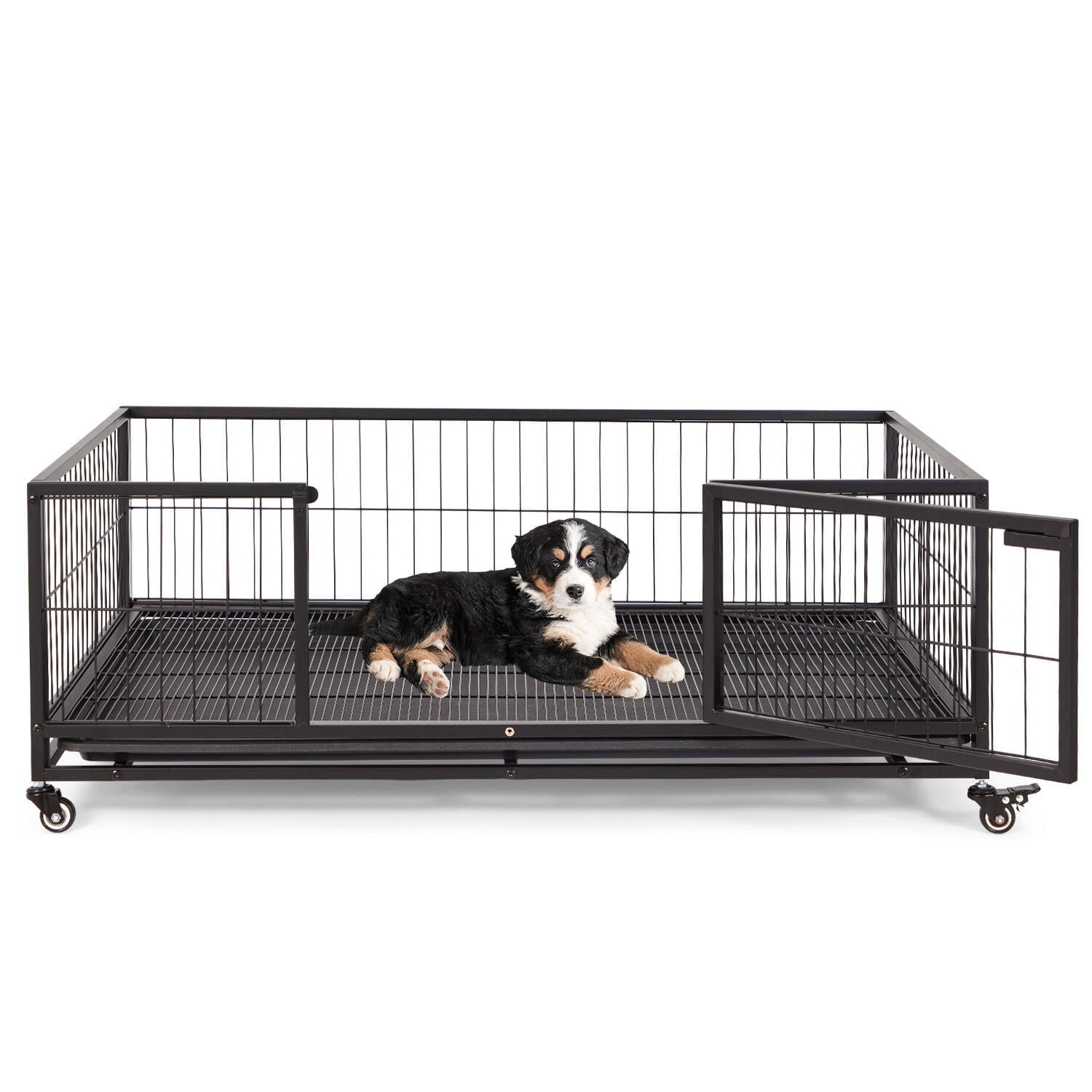 Erinnyees 42" Heavy Duty Dog Whelping Box, Metal Puppy Incubator with ...