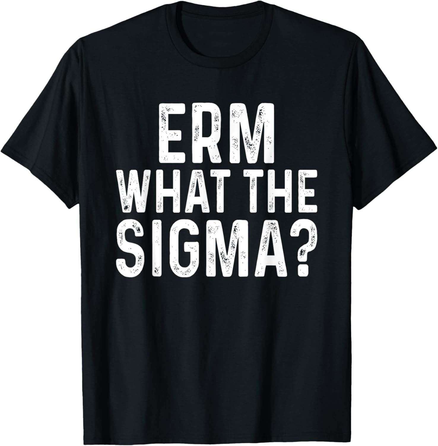 Erm What The Sigma Funny Meme Brainrot Nerd Humor T-Shirt - Walmart.com