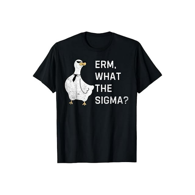 Erm What The Sigma Meme T-Shirt - Walmart.com
