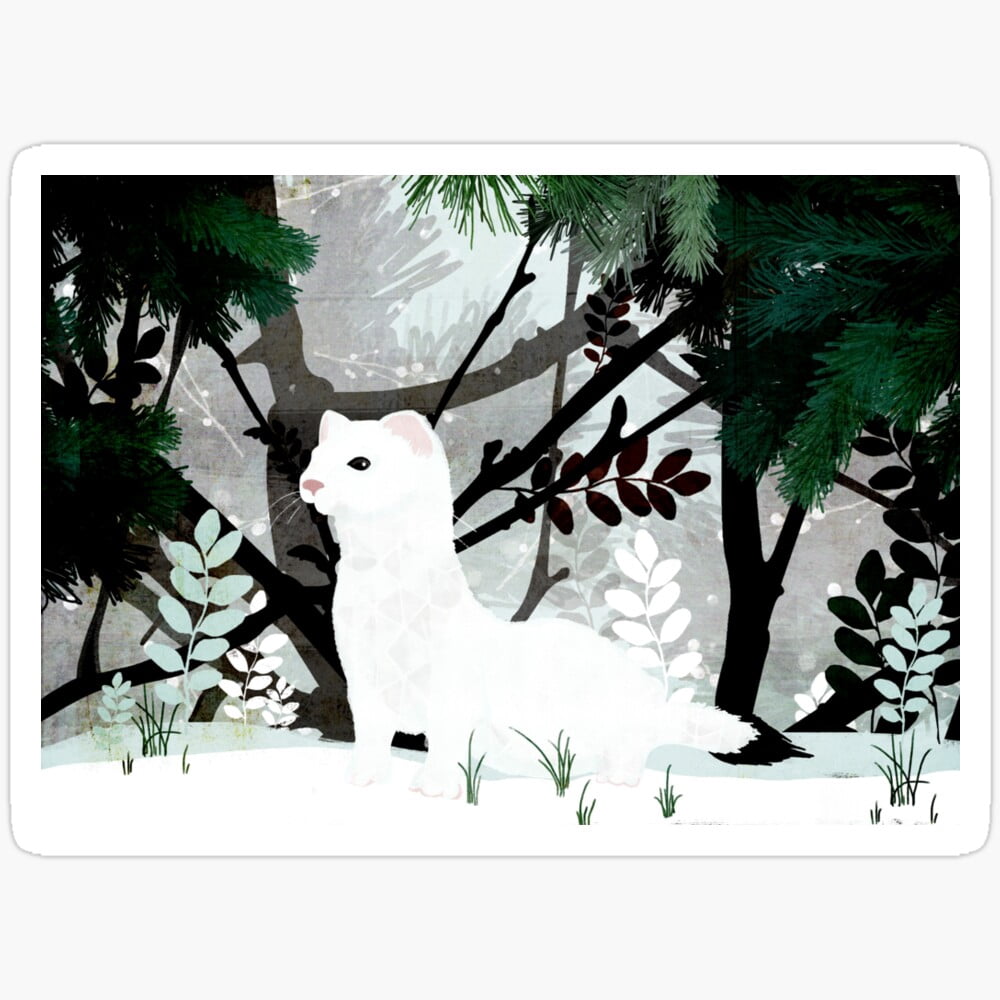 Ermine Sticker Phone Decal Water Bottle Stickers Car Decals, Laptop ...
