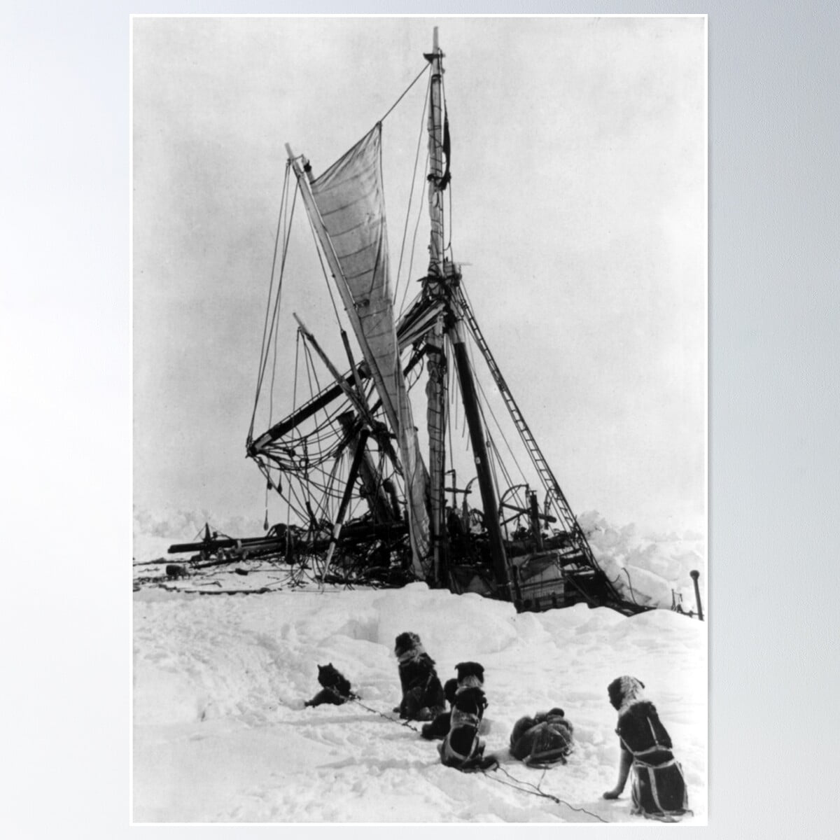 Ernest Shackleton Antarctic Expedition, The Endurance Ship, 1915 Poster ...