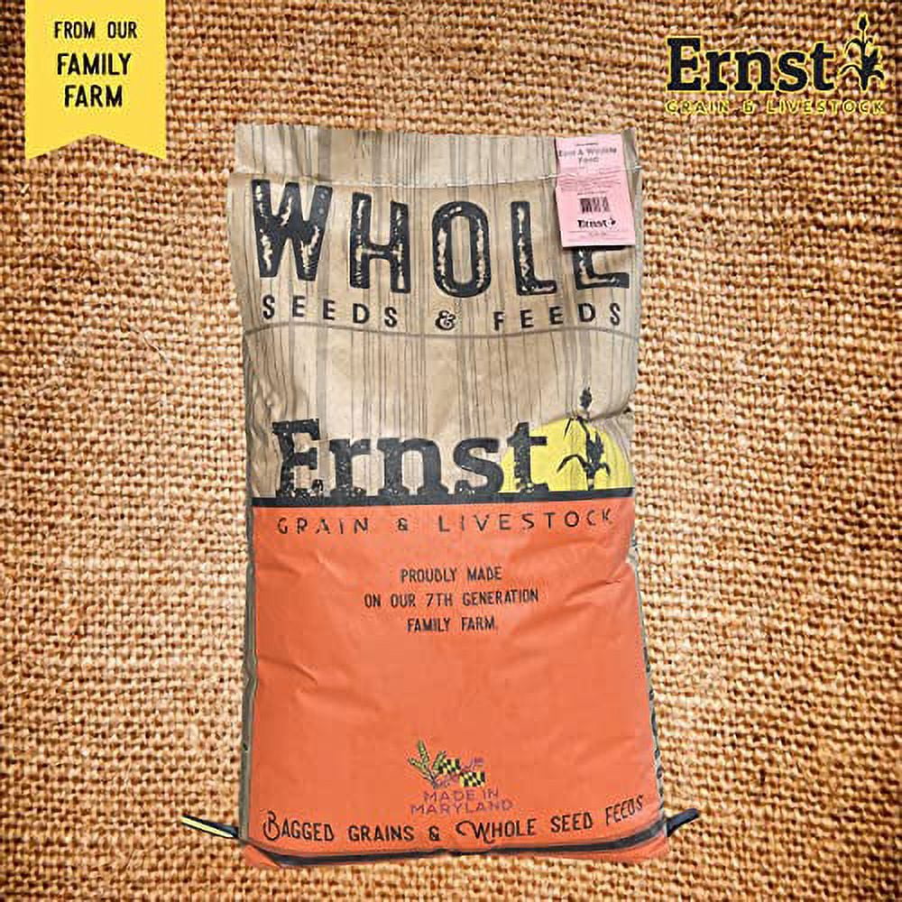 Ernst Grain's Oats, Feed Grade, 50 lb - Walmart.com