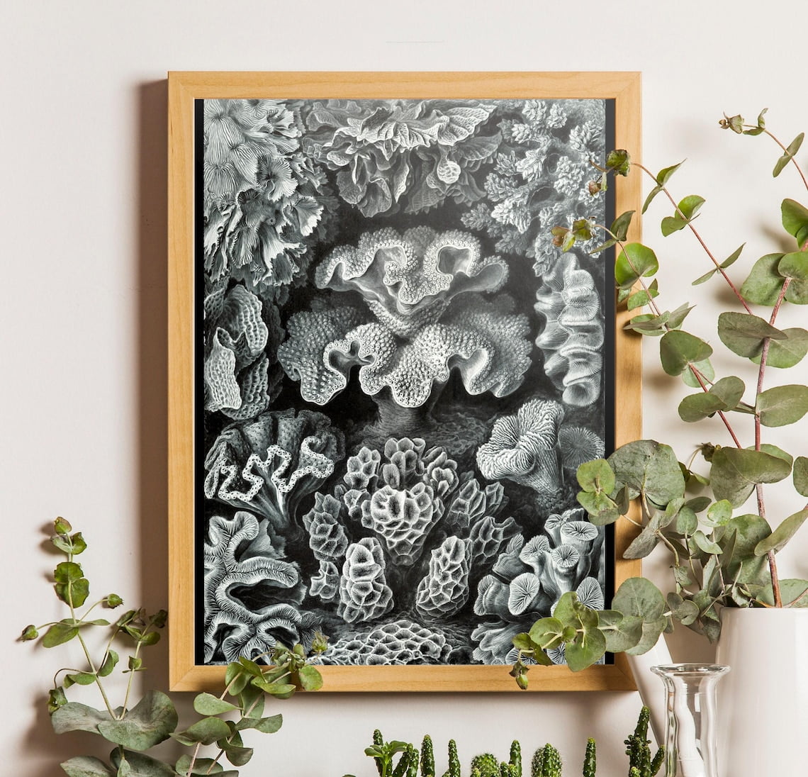 Ernst Haeckel Coral Poster, Vintage Ocean Scientific Illustration ...