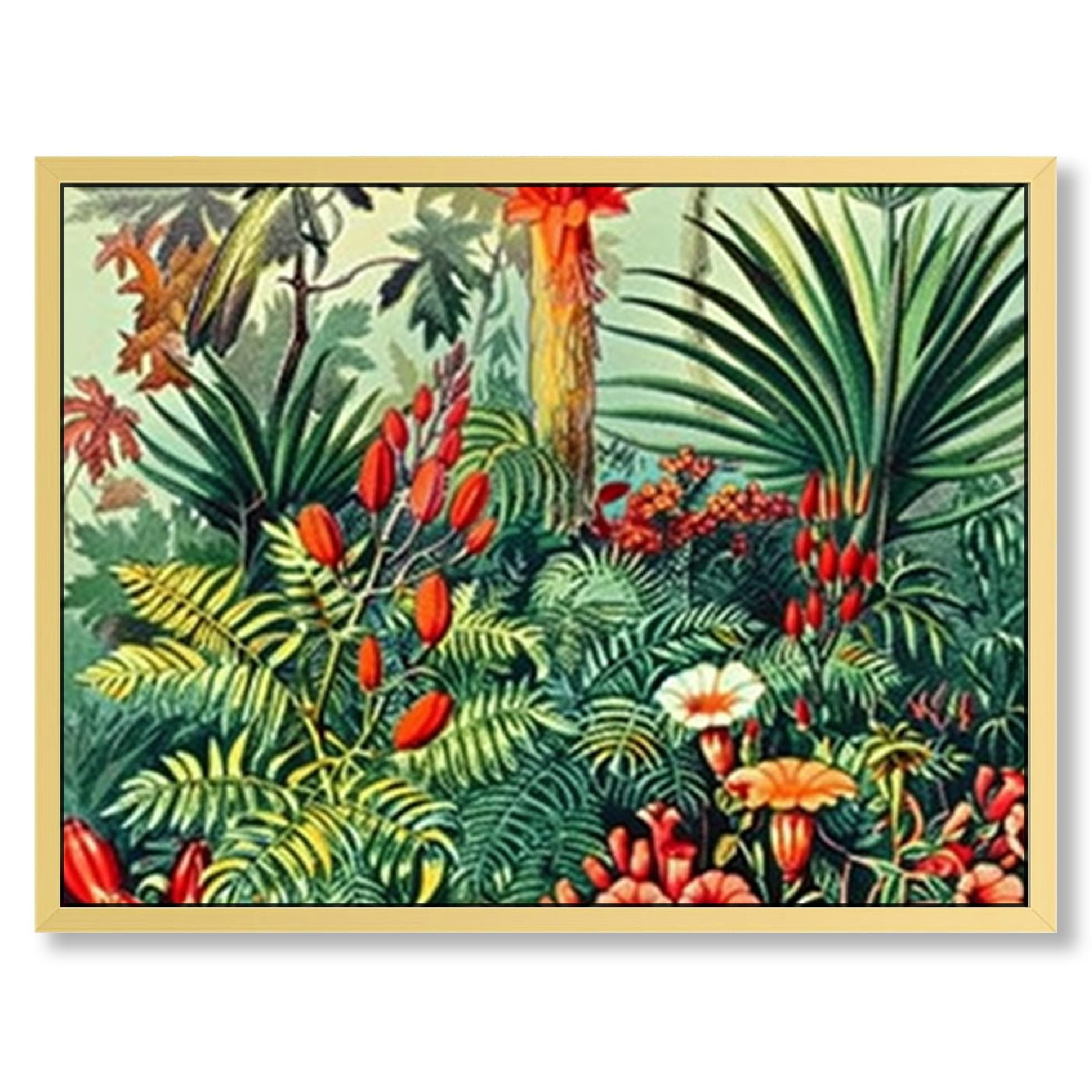 Ernst Haeckel Poster & Vintage Vintage Flower Poster & Plant Poster ...